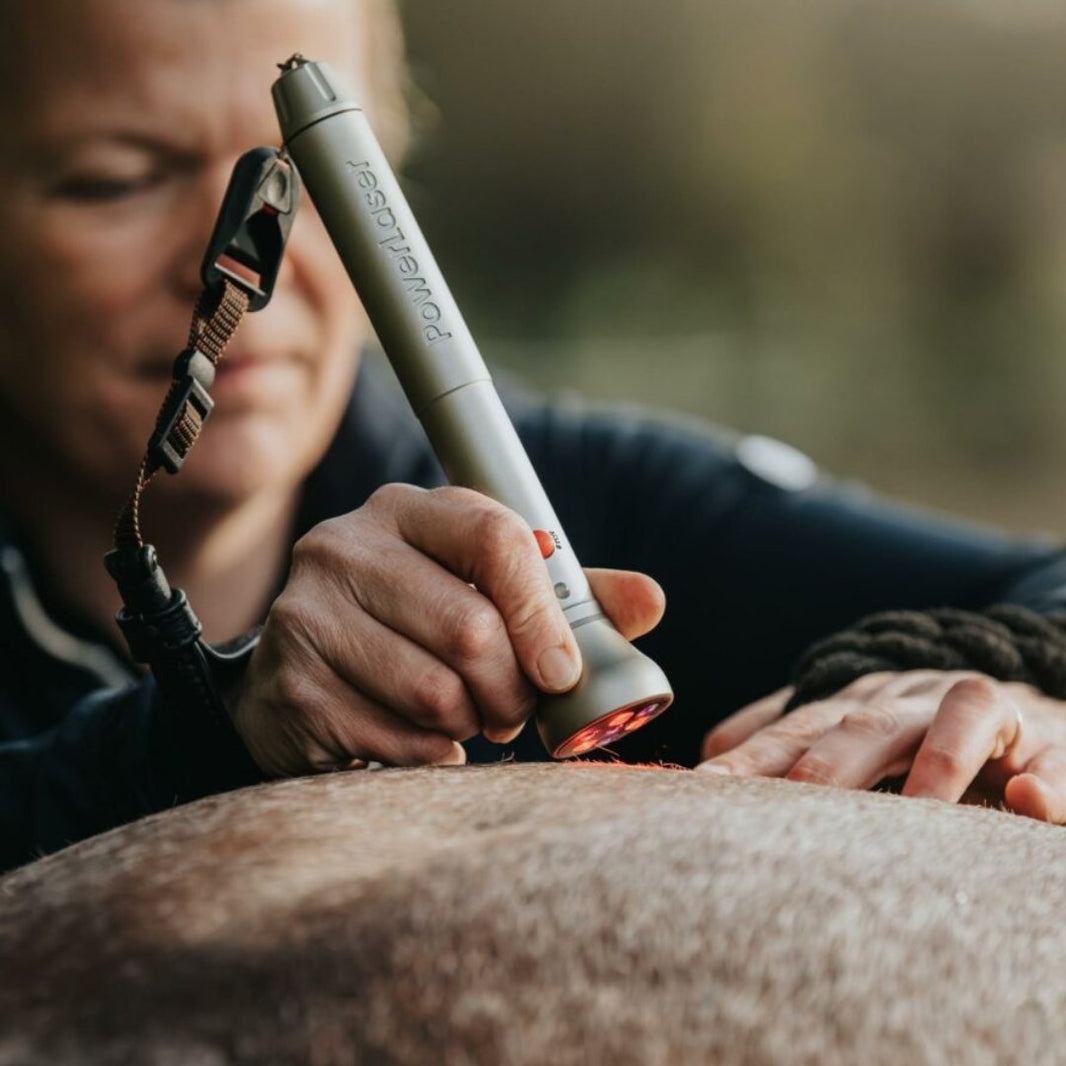 Animal Use Cold Lasers – Cold Laser Supplies